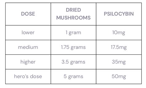 The Beginners Guide To Microdosing Shrooms Scheduling And Dosage Tips