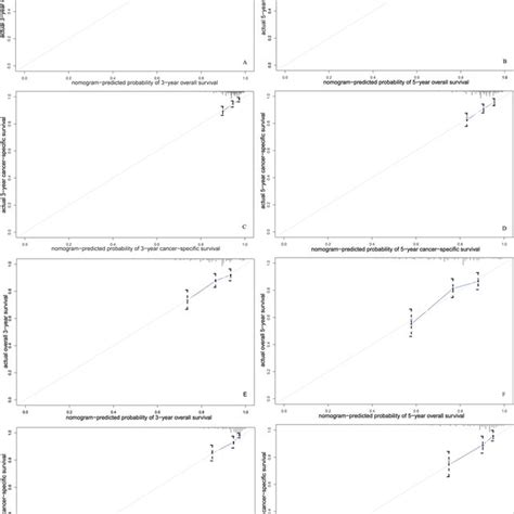 The Calibration Curves For Predicting Patients Prognosis In The