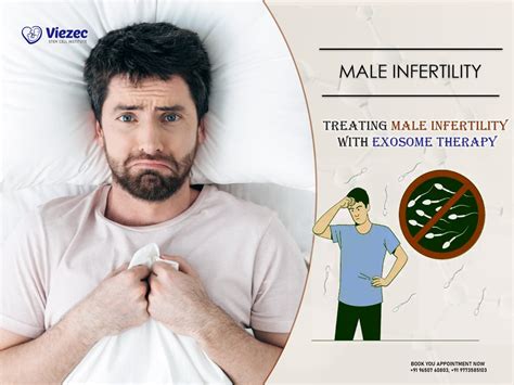 Treating Male Infertility With Exosome Therapy In India