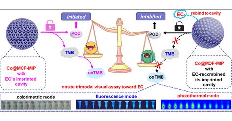 A Versatile Visual Molecular Imprinting Driven Switchable Nanozyme