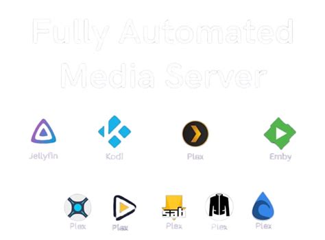 Setup Fully Features Plex Media Server Jellyfin With Automated User Request By Herrao Fiverr
