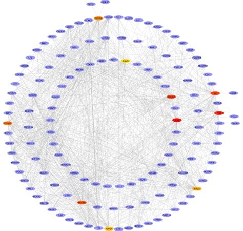 String Network For 354 Common Genes Download Scientific Diagram