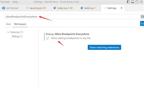 Plugin Installation And Code Debugging
