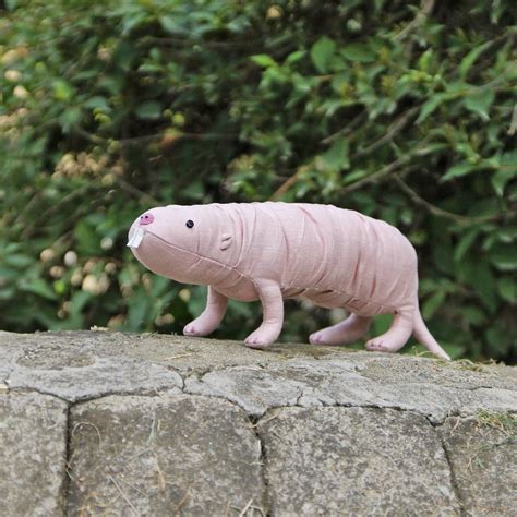 Naked Mole Rat Behance