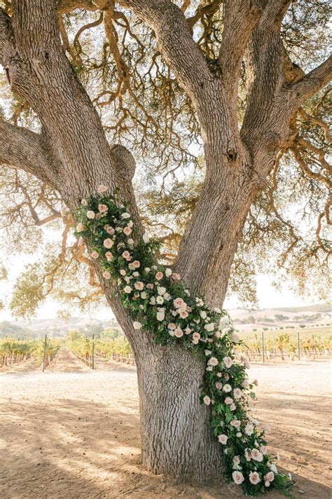 Aimee Andrew Real Weddings Cass Winery