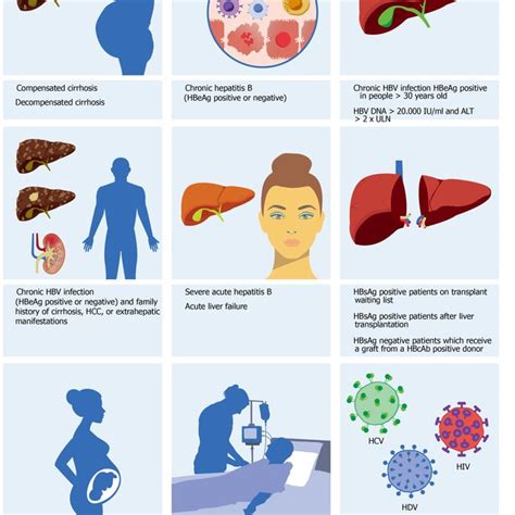 Classification Hosts And Ways Of Transmission Of The Hepatitis E