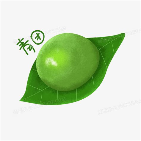 手绘清明节寒食节传统美食青团子PNG图片素材下载 美食PNG 熊猫办公