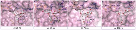 Ligandprotein Complex Conformations By Compound Through Selected