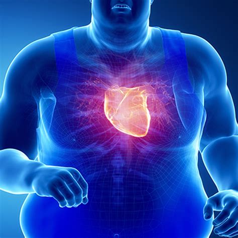 Whtr A Better Indicator Of Heart Disease And Obesity Risk For Indians