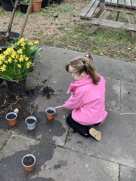 Hoxton Garden Primary School Gardening With Eyfs