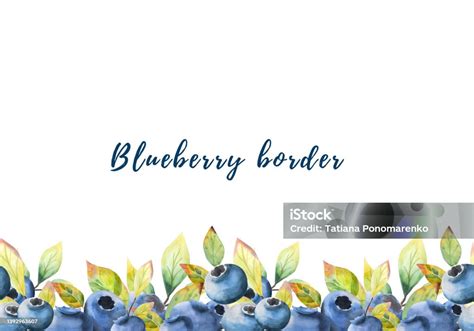 나뭇잎이있는 나뭇 가지에 잘 익은 블루 베리가있는 수채화 이음새가 없는 경계 프레임 라인 테두리 등을 위한 이음새가 없는 디자인 0명에 대한 스톡 벡터 아트 및 기타 이미지