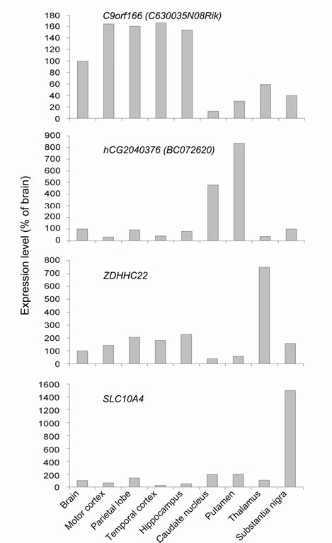 Expression Levels Of Region Enriched Transcripts In Human Brain