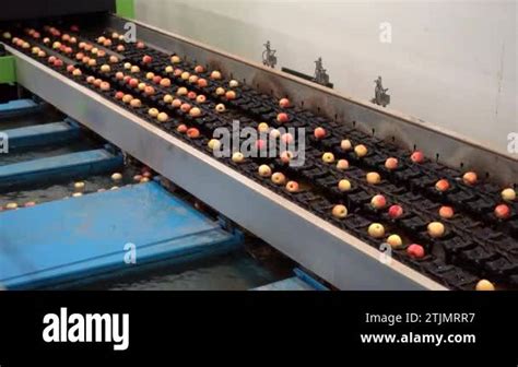 Apple Sorting Machine Stock Videos And Footage Hd And 4k Video Clips Apple Sorting Machine Stock Videos And Footage Hd And 4k Video Clips