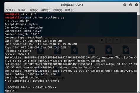 2017 2018 2 20179204 Python黑帽子 黑客与渗透测试编程之道 Csdn博客