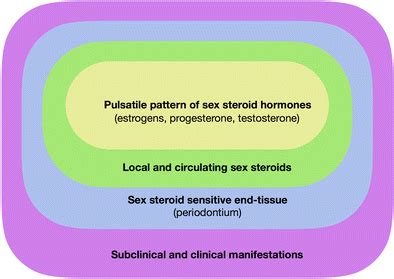 Diagram Showing The Connection Between Periodontium And Sex Steroid Download Scientific Diagram