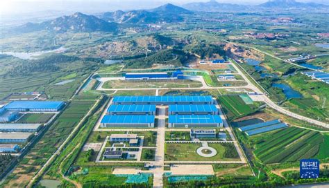 新華全媒 挺起産業脊梁 書寫綠色答卷山東加速推進新型工業化觀察 新華網