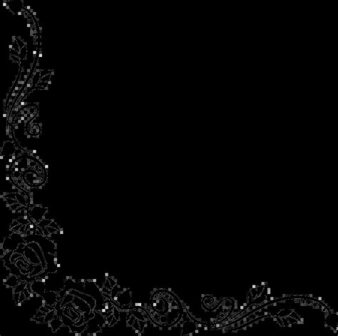 دانلود بهترین عکس های گل مشکی برای تسلیت بدون متن با فرمت Png