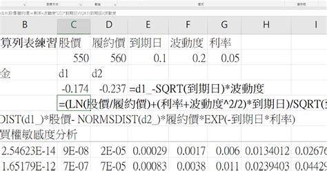 陳紹綸excel資料 模擬分析 運算列表 買權訂價公式