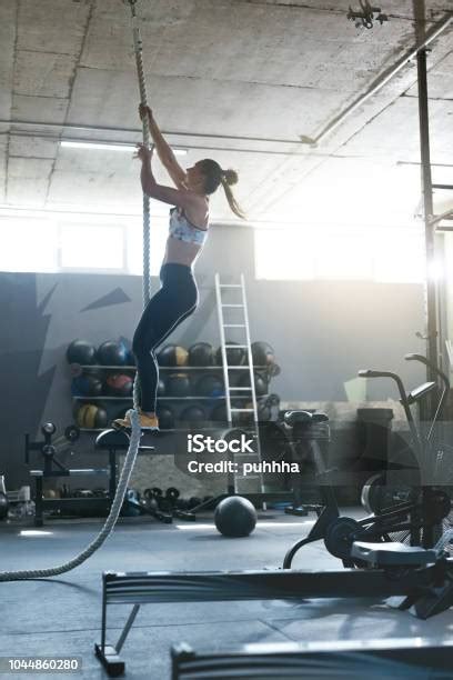 체육관에서 훈련입니다 여자 선수 스포츠 클럽에서 로프 등반 건강한 생활방식에 대한 스톡 사진 및 기타 이미지 건강한 생활방식 근육질 체격 동기 부여 Istock