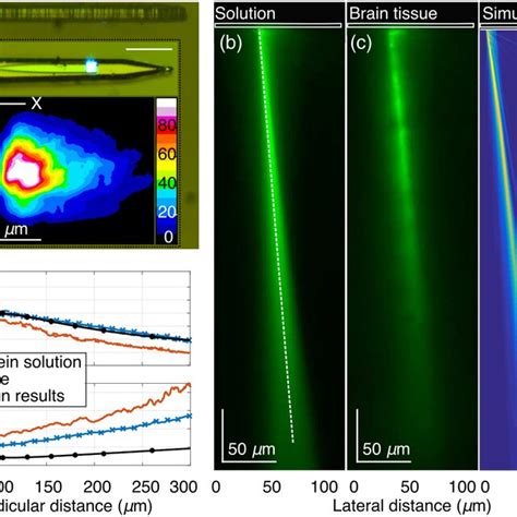 prototype photonic probe architecture a optical micrograph showing