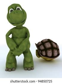 Naked Turtle Royalty Free Images Stock Photos Pictures Shutterstock