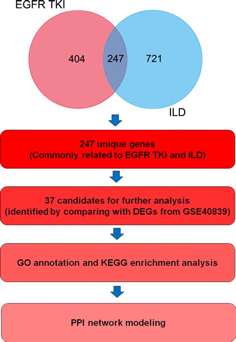 Overall Bioinformatics Analysis Strategy Gene Lists Correlated With Download Scientific