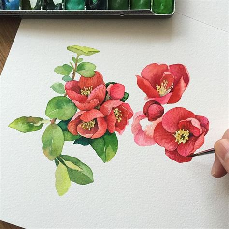 네 눈앞에 내 그림🌷 On Instagram 예뻐서 찍어왔는데 동백꽃 비슷하게 생겼지만 아닌 것 같고 작고 더 귀여움ing🌺 꽃꽃스타그램꽃그림
