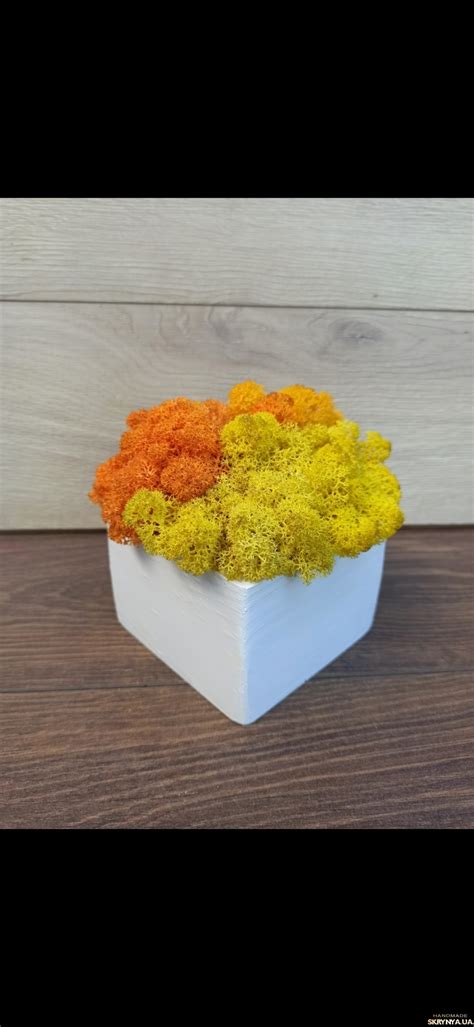 Купити Біле деревяне кашпо з різними кольорами Skrynya Ua