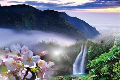 대만 자이 아리산 And 펀치 호수 And 영원교 일일 투어 철도 도시락 자이에서 출발 Kkday