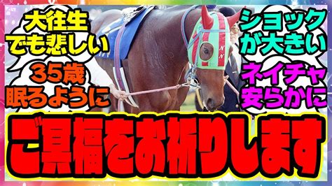 寄付ナイスネイチャ死す35歳存命のJRA重賞勝ち馬では最高齢に対するみんなの反応集 まとめ ウマ娘プリティーダービー レイミン 誕生日