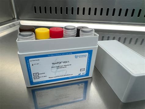 Herpes Simplex Type Detection Kits 06 02 2024