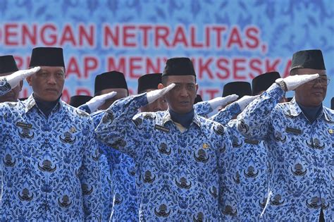 Perpanjangan Pensiun Asn Sebaiknya Dilakukan Untuk Asn Di Wilayah 3t