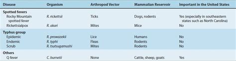 Rickettsiae Basicmedical Key