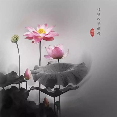 佛前一朵莲 一朵莲一朵莲一朵莲花 我是前一朵莲 大山谷图库