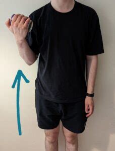 Best Bicep Tendonitis Exercises With Examples Dr Mehta