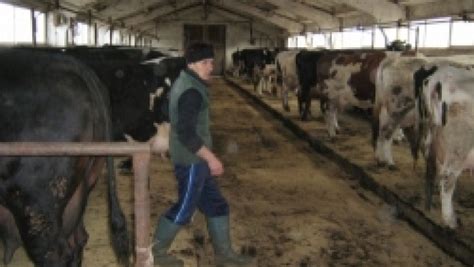 Над 15 000 животни в Плевенско се отглеждат във ферми пред затваряне Agri Bg