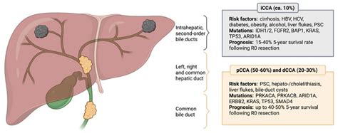 Cholangiocarcinoma Type