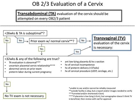 OB Evaluation Of A Cervix Ppt Download