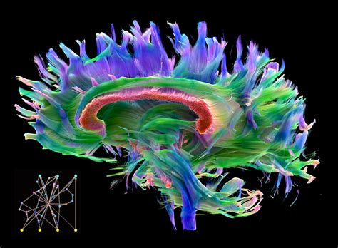 Neuroevolution — Evolving Artificial Neural Networks Topology From The Scratch By Iaroslav
