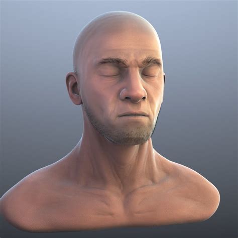 Anatomy 3d Model Plus Bonus 3d Model Cgtrader