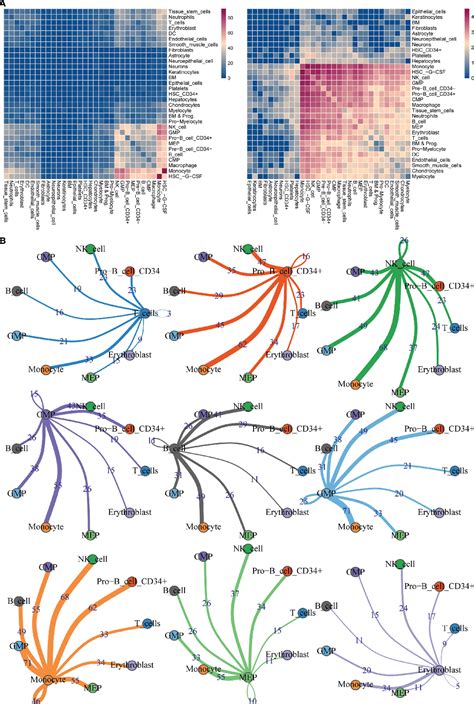 Figure From Integrating RNA Seq And ScRNA Seq To Explore The Biological Significance Of NAD