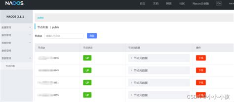 Nacos集群部署 Nacos集群节点状态down Csdn博客