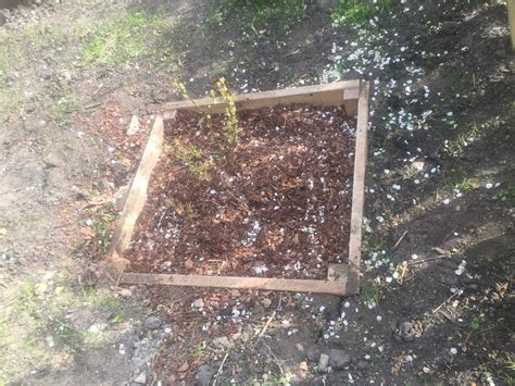 Ящики деревянные для грядок, цветов, голубики. Високі грядки Песочницы ...