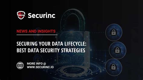 Securing Your Data Lifecycle Best Data Security Strategies Securinc
