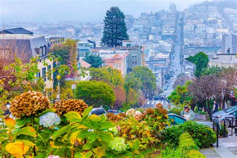 샌프란시스코 그 날씨의 중요성 롬바드 스트리트 두피디아 여행기