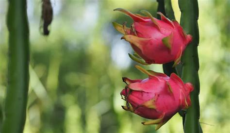 Sigmoid Function Explained Ultralytics