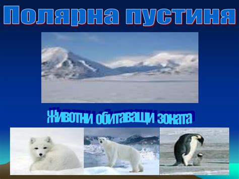 Ppt Полярни пустини Powerpoint Presentation Free Download Id 3867480
