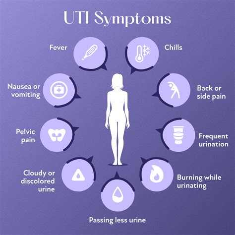 Menopause And Utis Causes Symptoms And Prevention