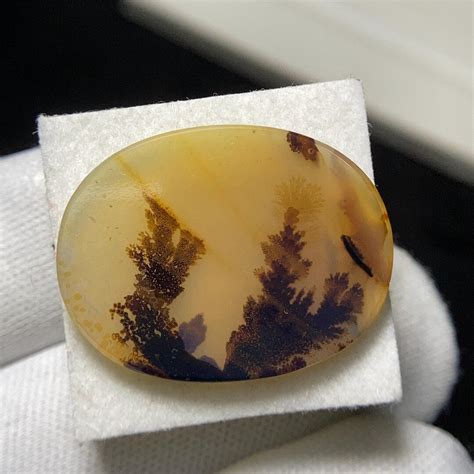 Natural Tree Like Pattern Dendrite Agate Cabochon 26x20x2mminclusion