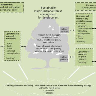 The Timber Value Chain Download Scientific Diagram